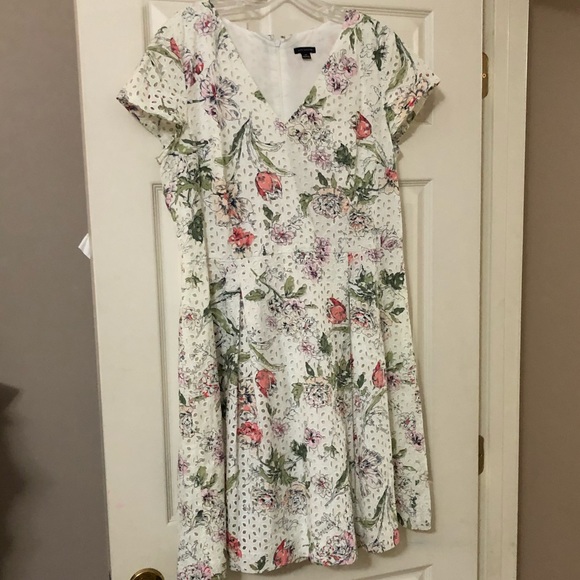 Ann Taylor | Dresses | End Of Year Sale Euc Ann Taylor Spring Dress 4 ...